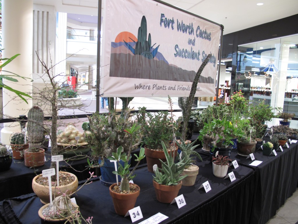Future Events – Fort Worth Cactus and Succulent Society